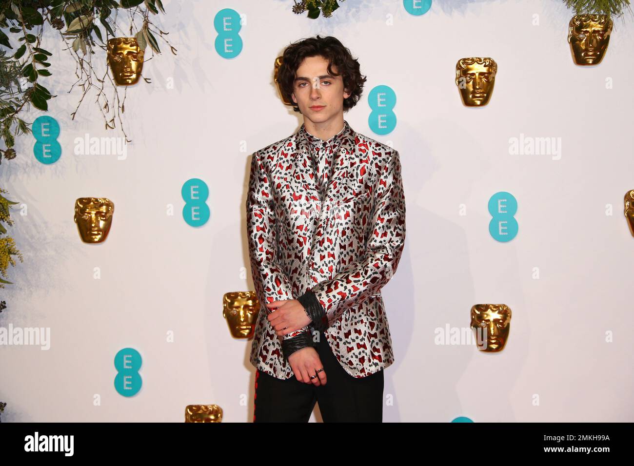 Actor Timothee Chalamet poses for photographers upon arrival at the ...