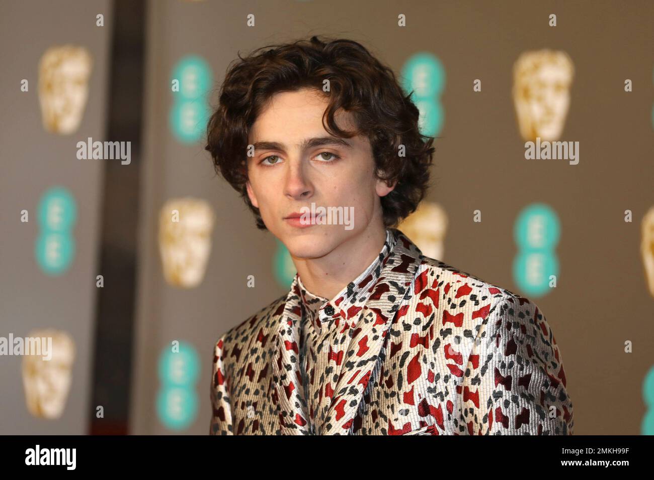 Actor Actor Timothee Chalamet poses for photographers upon arrival at ...