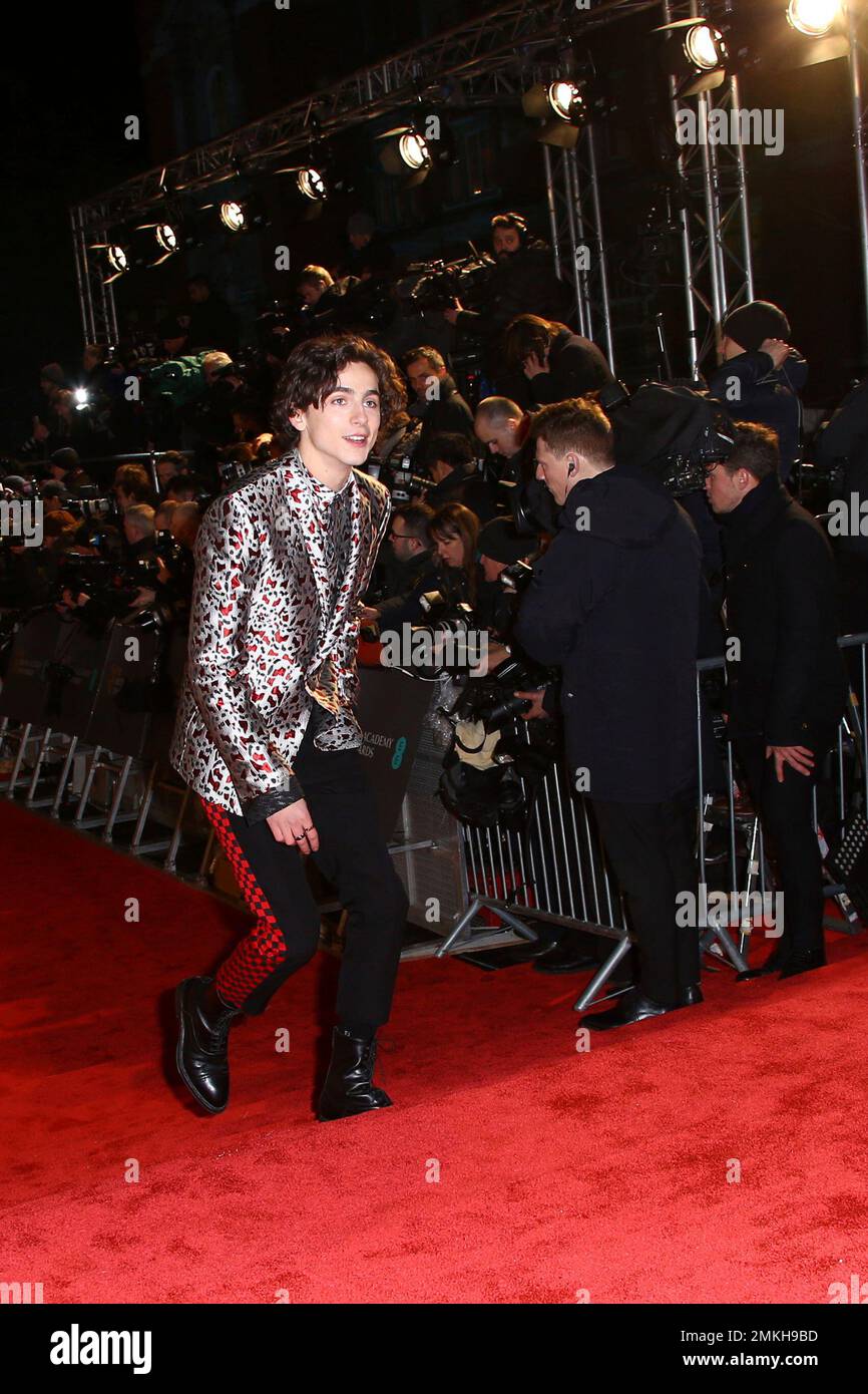 Actor Timothee Chalamet poses for photographers upon arrival at the ...