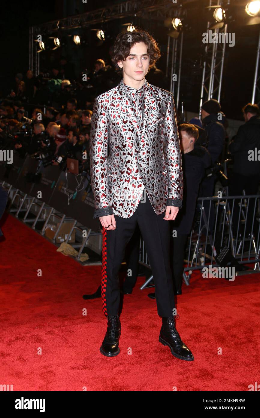 Actor Timothee Chalamet poses for photographers upon arrival at the ...