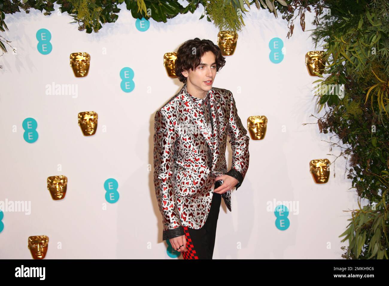 Actor Timothee Chalamet poses for photographers upon arrival at the ...