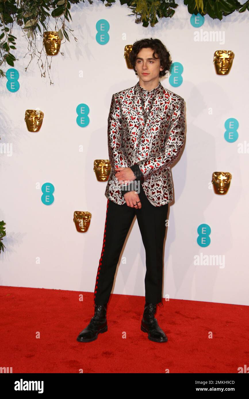 Actor Timothee Chalamet poses for photographers upon arrival at the ...