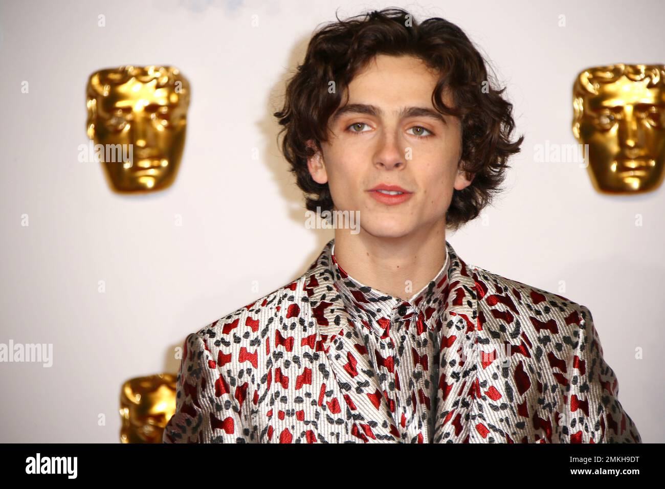 Actor Timothee Chalamet poses for photographers upon arrival at the ...
