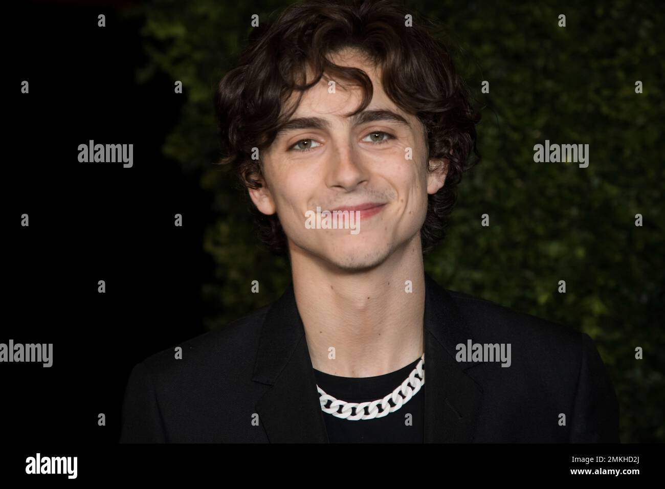 Actor Timothee Chalamet poses for photographers upon arrival at the ...