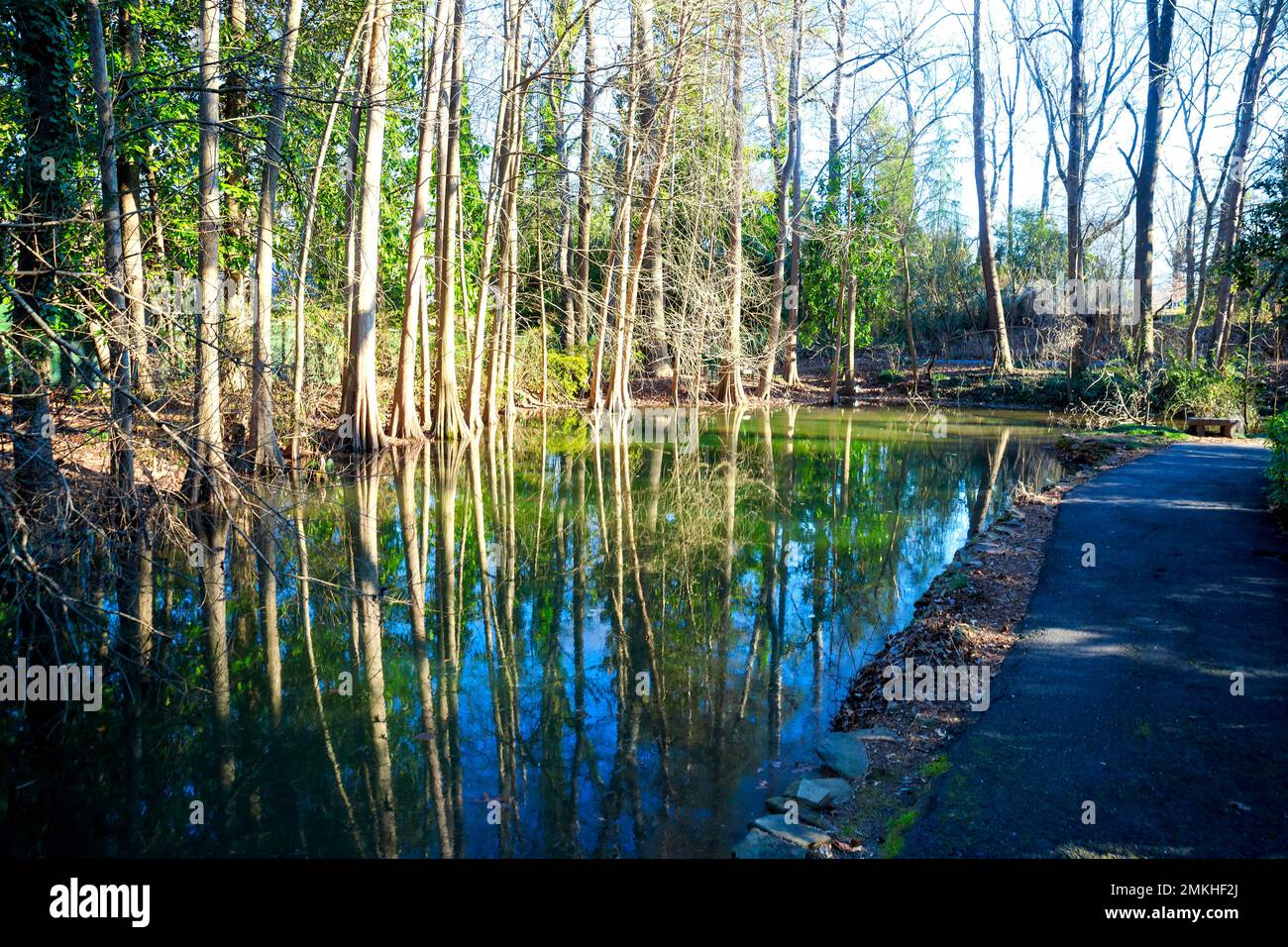 Water and trees with beautiful sky hi-res stock photography and images ...