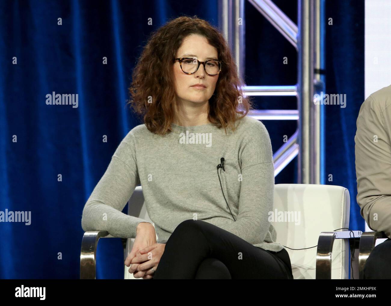 Audrey Diehl participates in the "Cartoons Have Grown Up and Audiences ...