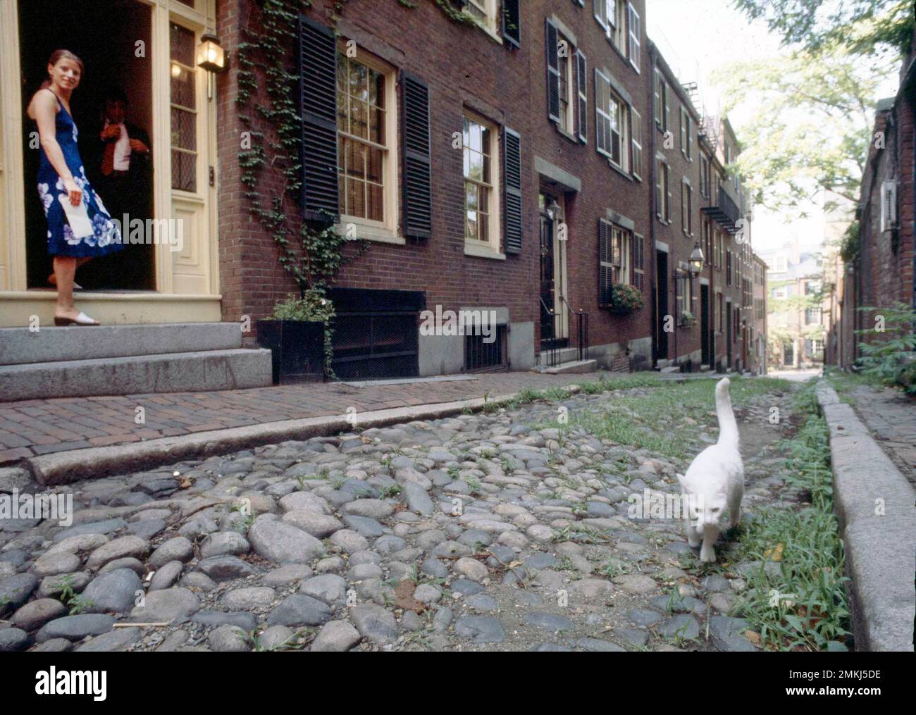An unidentified woman stands in a doorway, watching as a feline strolls ...