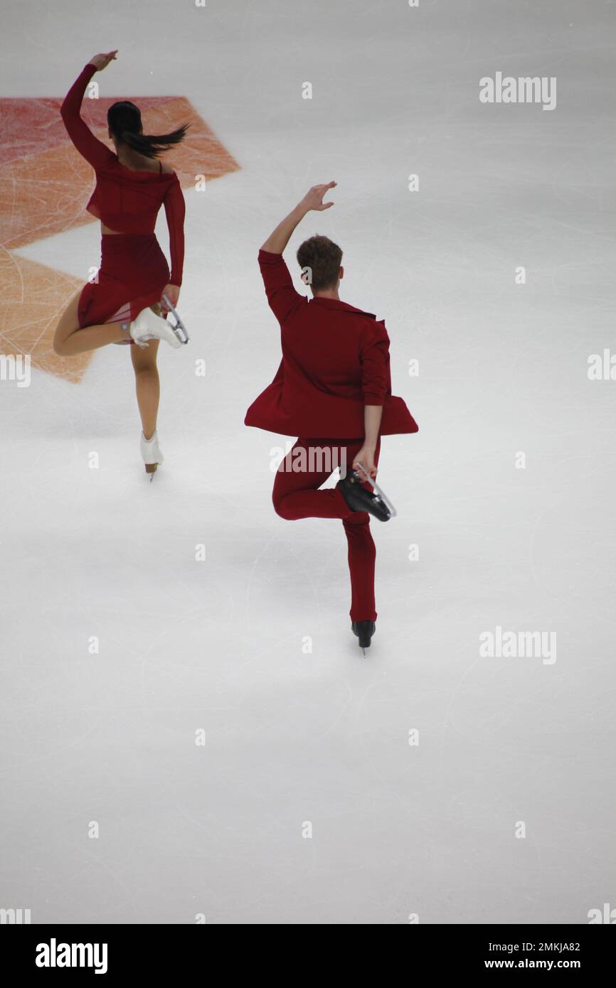 Emilea zingas hi-res stock photography and images - Alamy