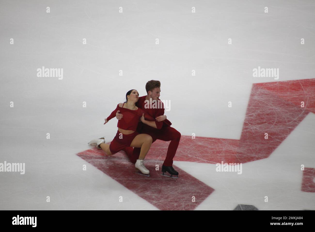 Emilea zingas hi-res stock photography and images - Alamy