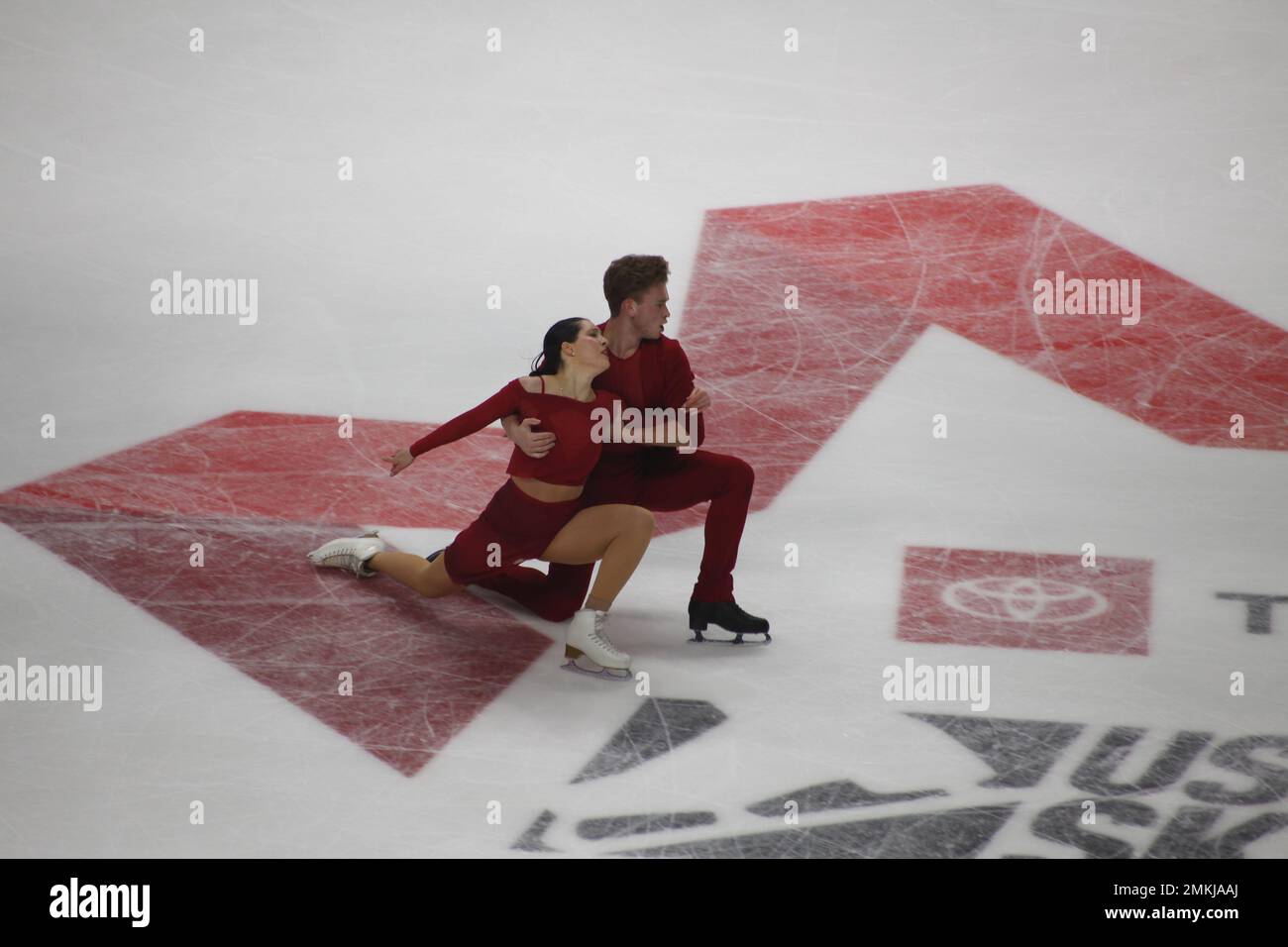 Emilea zingas hi-res stock photography and images - Alamy