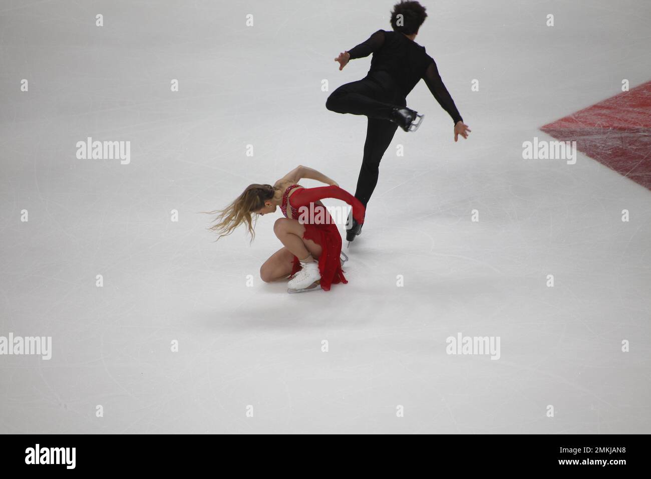 Emilea zingas hi-res stock photography and images - Alamy