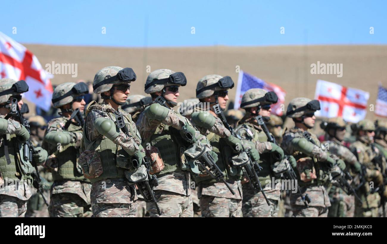 Members of Georgia’s Defense Forces stand in formation during closing ...