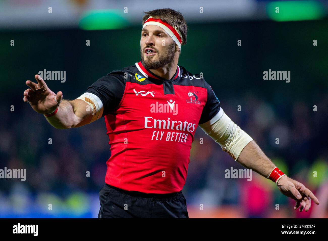 Jaco kriel lions hi-res stock photography and images - Alamy