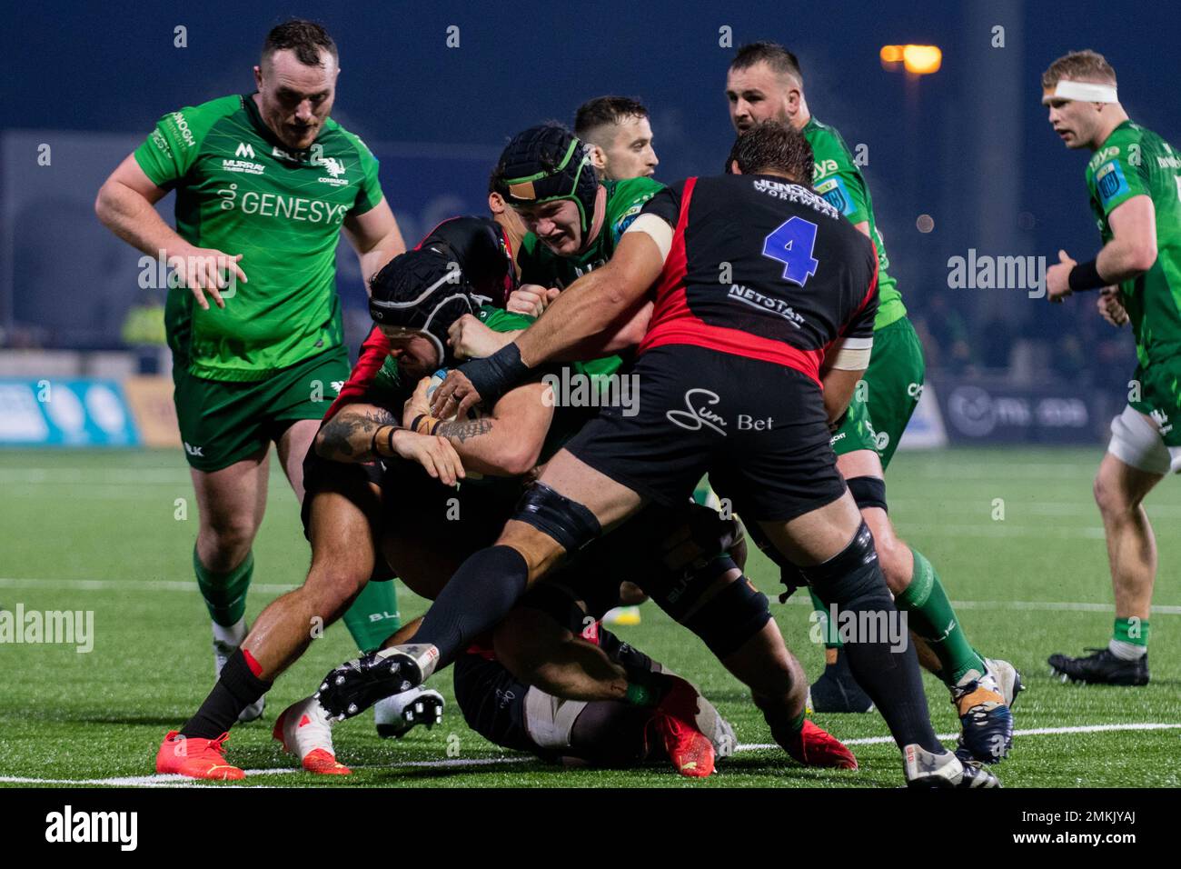 Willem alberts lions hi-res stock photography and images - Alamy