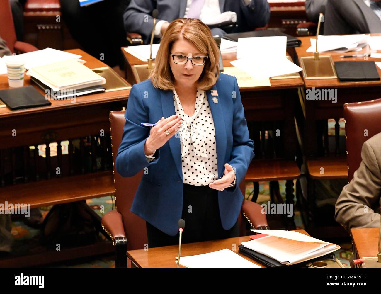 Sen. Pamela Helming, R-Geneva, debates new legislation reforms to ...