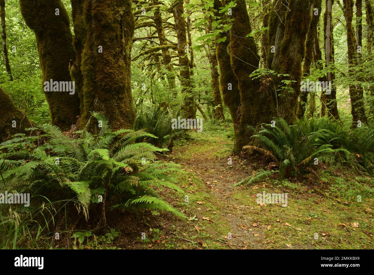 Habitat solitude hi-res stock photography and images - Alamy