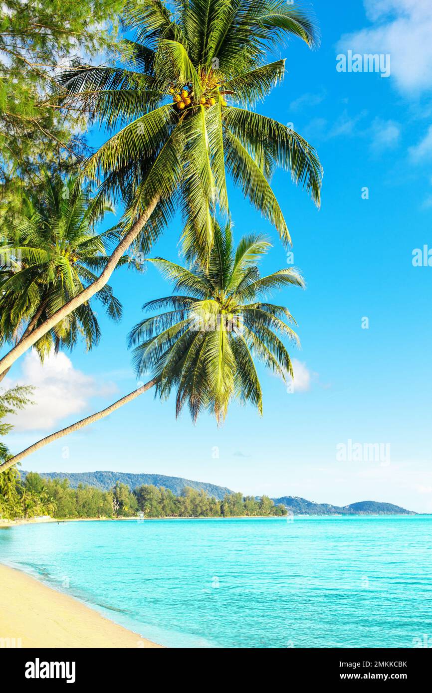Beautiful Blue Beach Landscape Premium Photo | Beautiful Blue Ocean