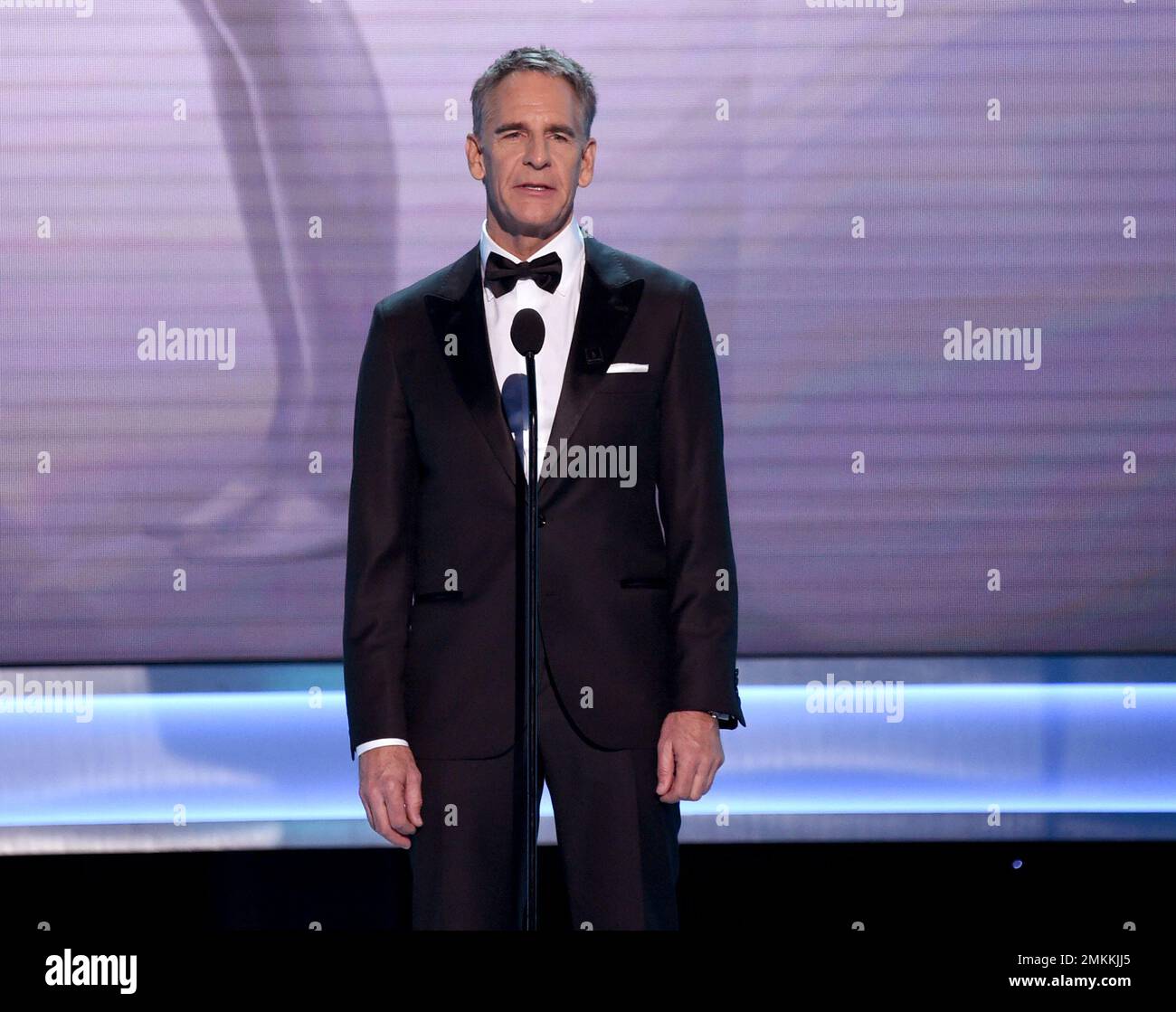 Scott Bakula introduces an In Memoriam tribute at the 25th annual ...