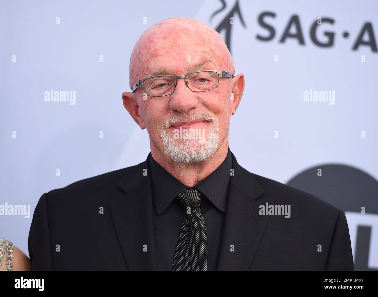 Jonathan Banks arrives at the 25th annual Screen Actors Guild Awards at ...