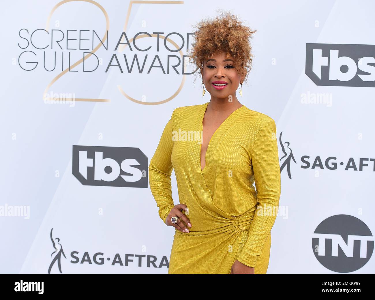 Tanika Ray arrives at the 25th annual Screen Actors Guild Awards at the ...
