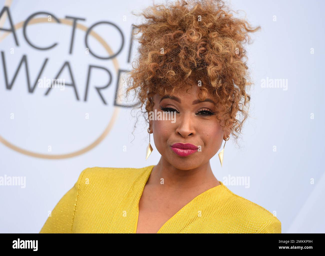 Tanika Ray arrives at the 25th annual Screen Actors Guild Awards at the ...