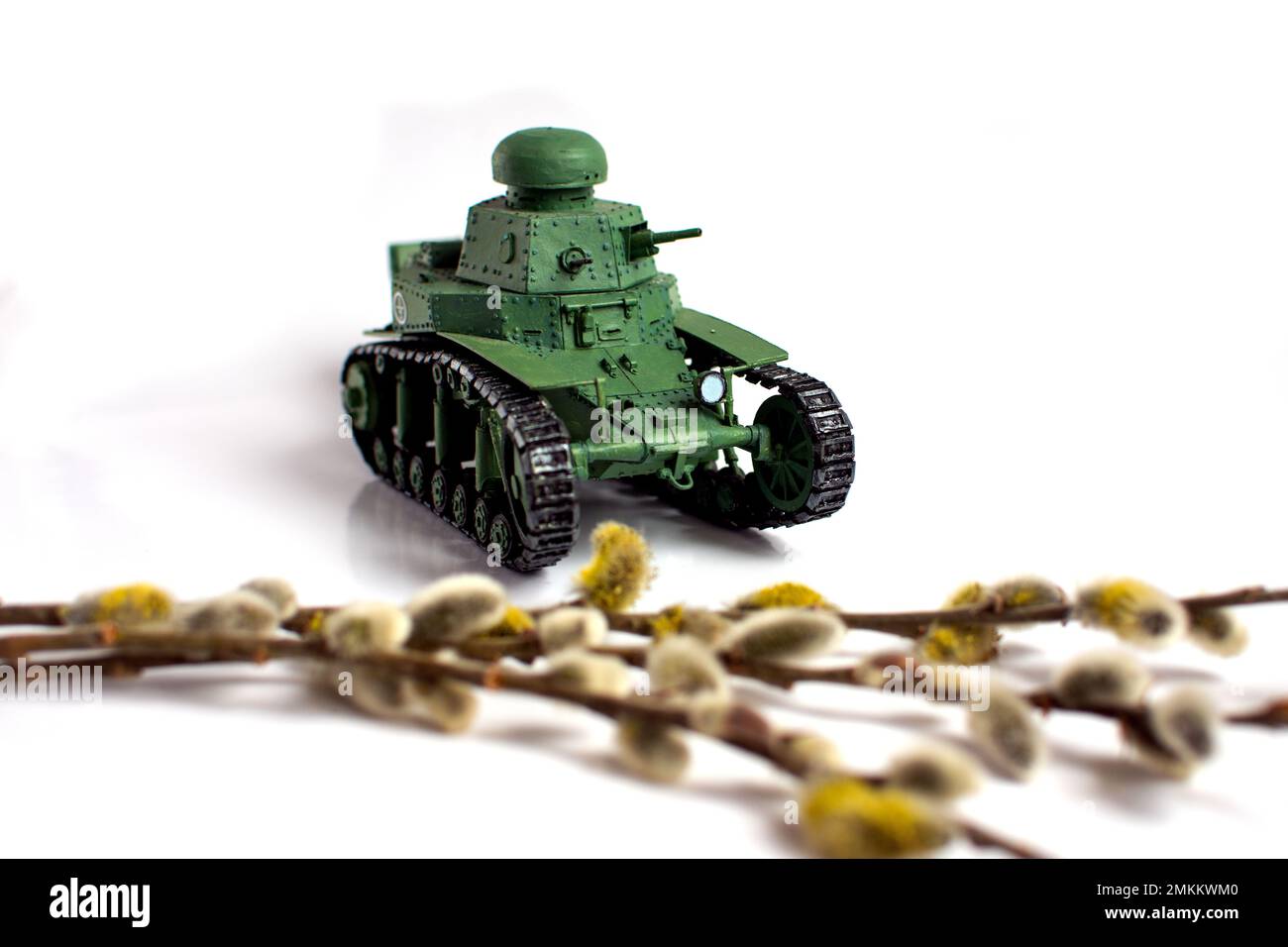 Willow on branch in Cut Out Stock Images & Pictures - Alamy