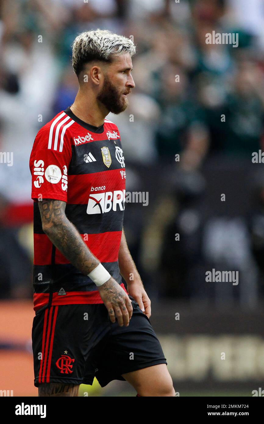 Arena brb mane garrincha hi-res stock photography and images - Alamy