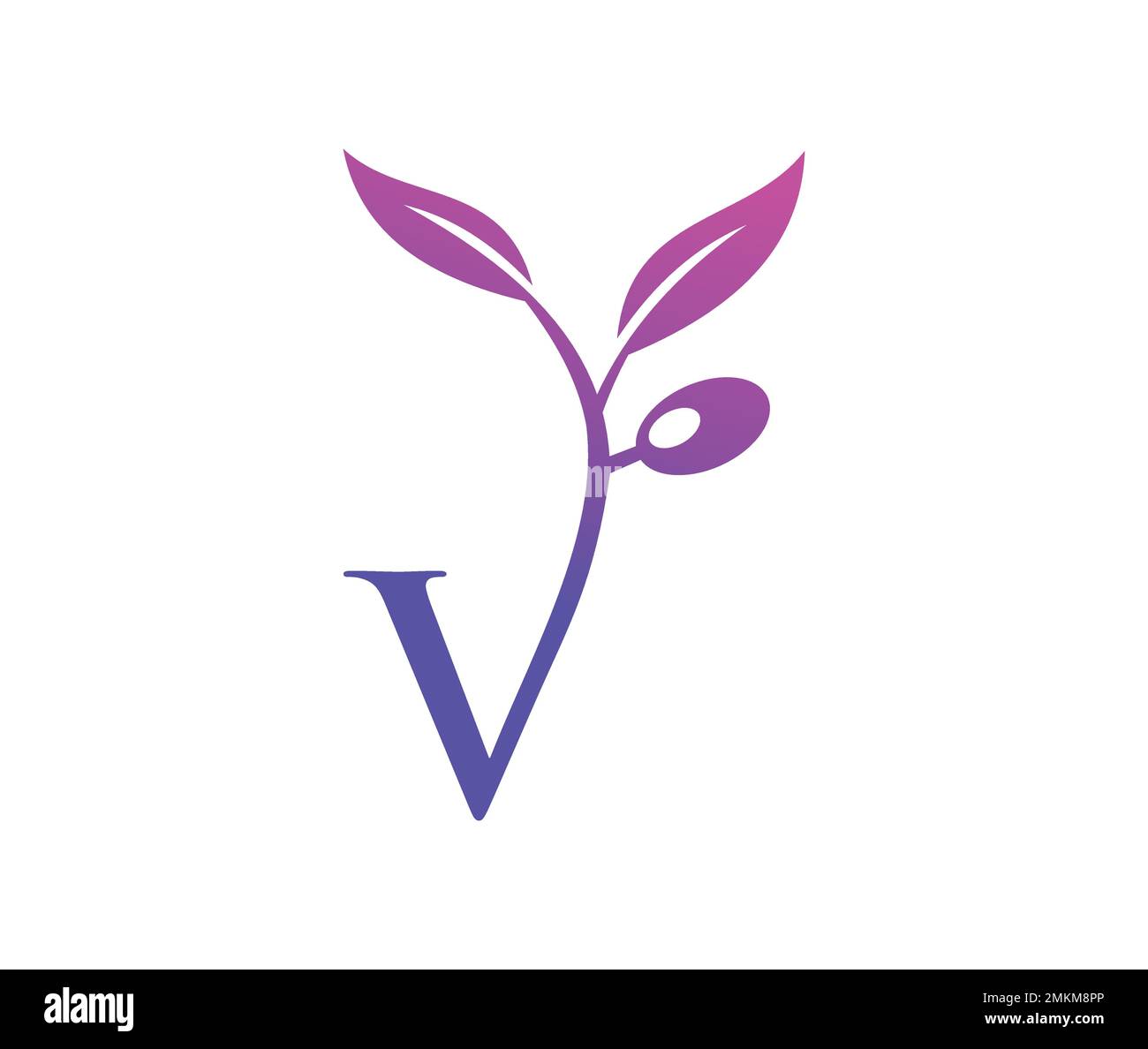 vector illustration of Grape Vine Monogram Logo Letter V Stock Vector ...