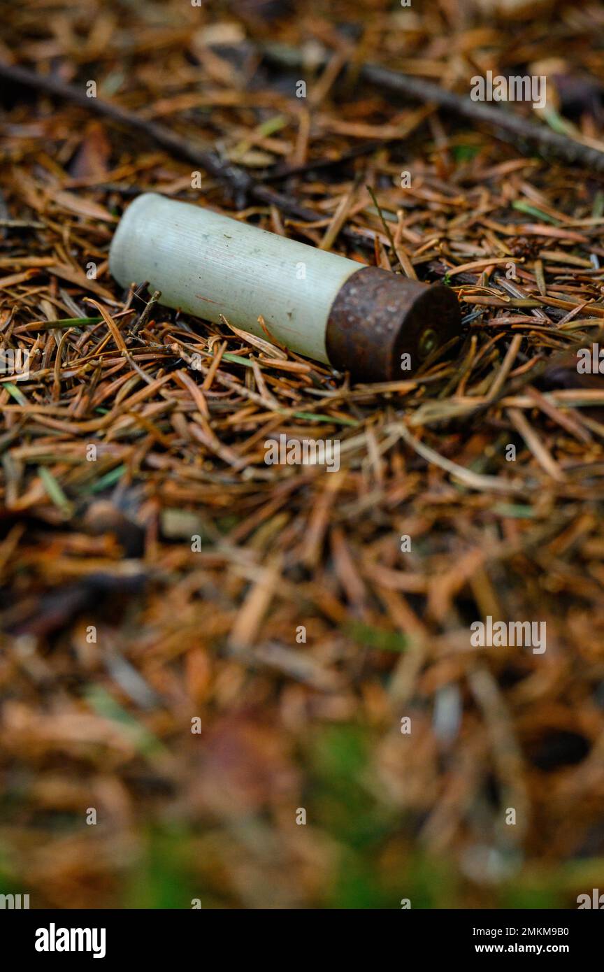 Old used and rusty cartridge case in the woods, cartridge case for ...