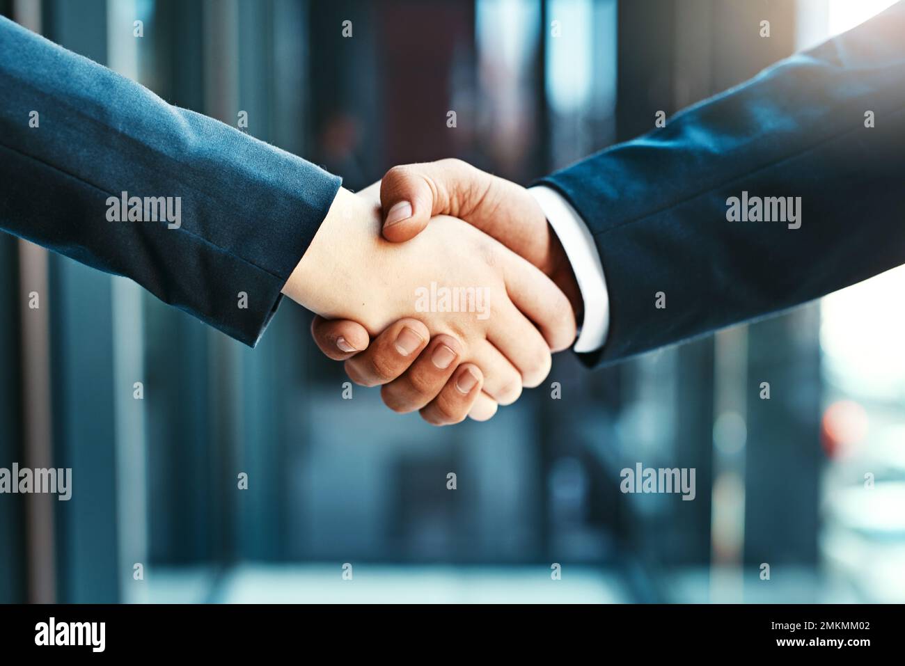 Well win championships together. two businesspeople shaking hands Stock ...