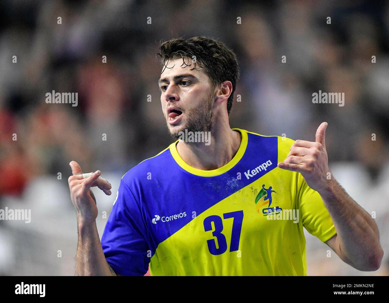 Brazil's Daniel Langaro reacts after scoring during the Handball World ...