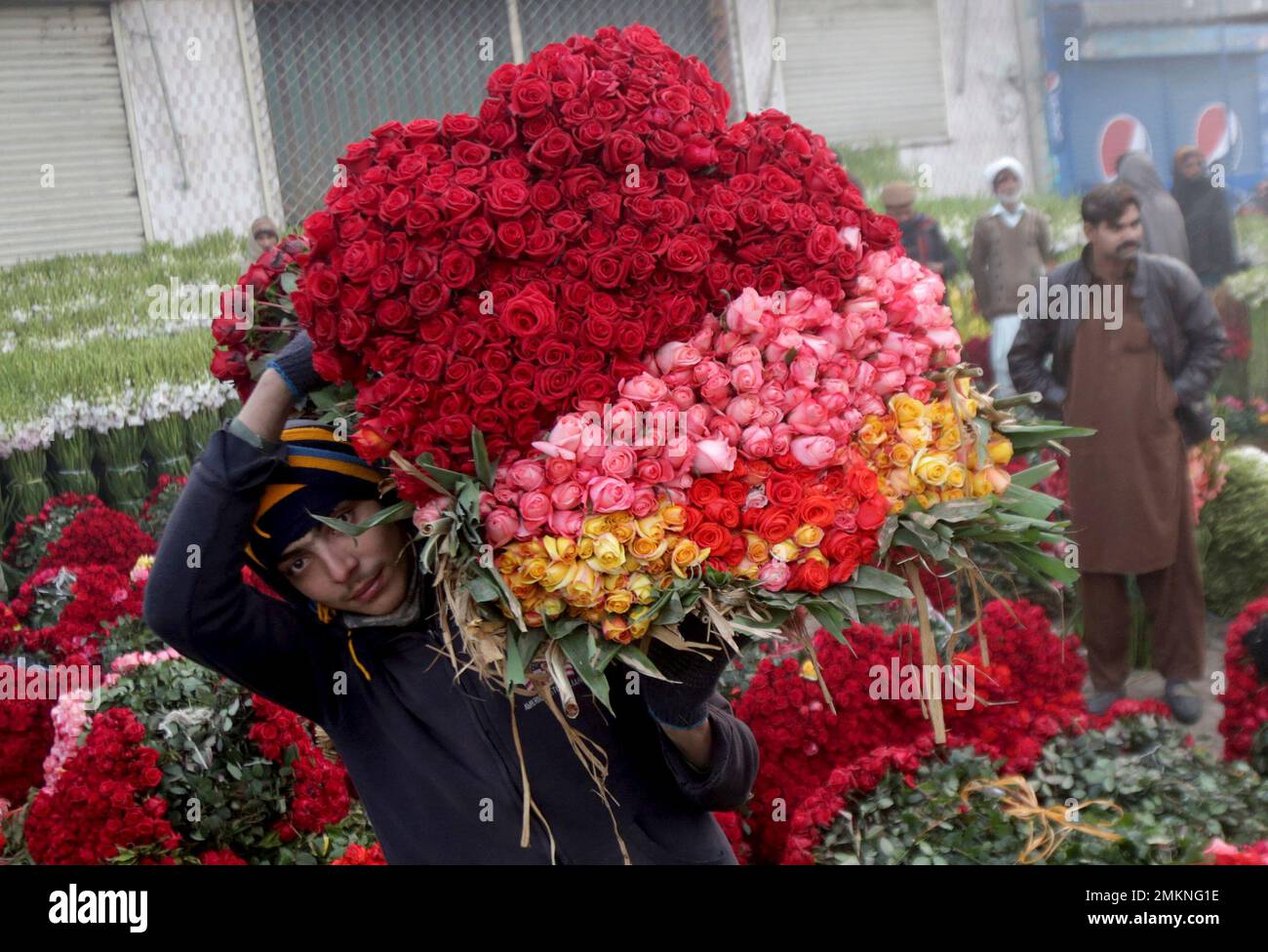 A Pakistani vendor carries a bundle of roses at a flower market in ...