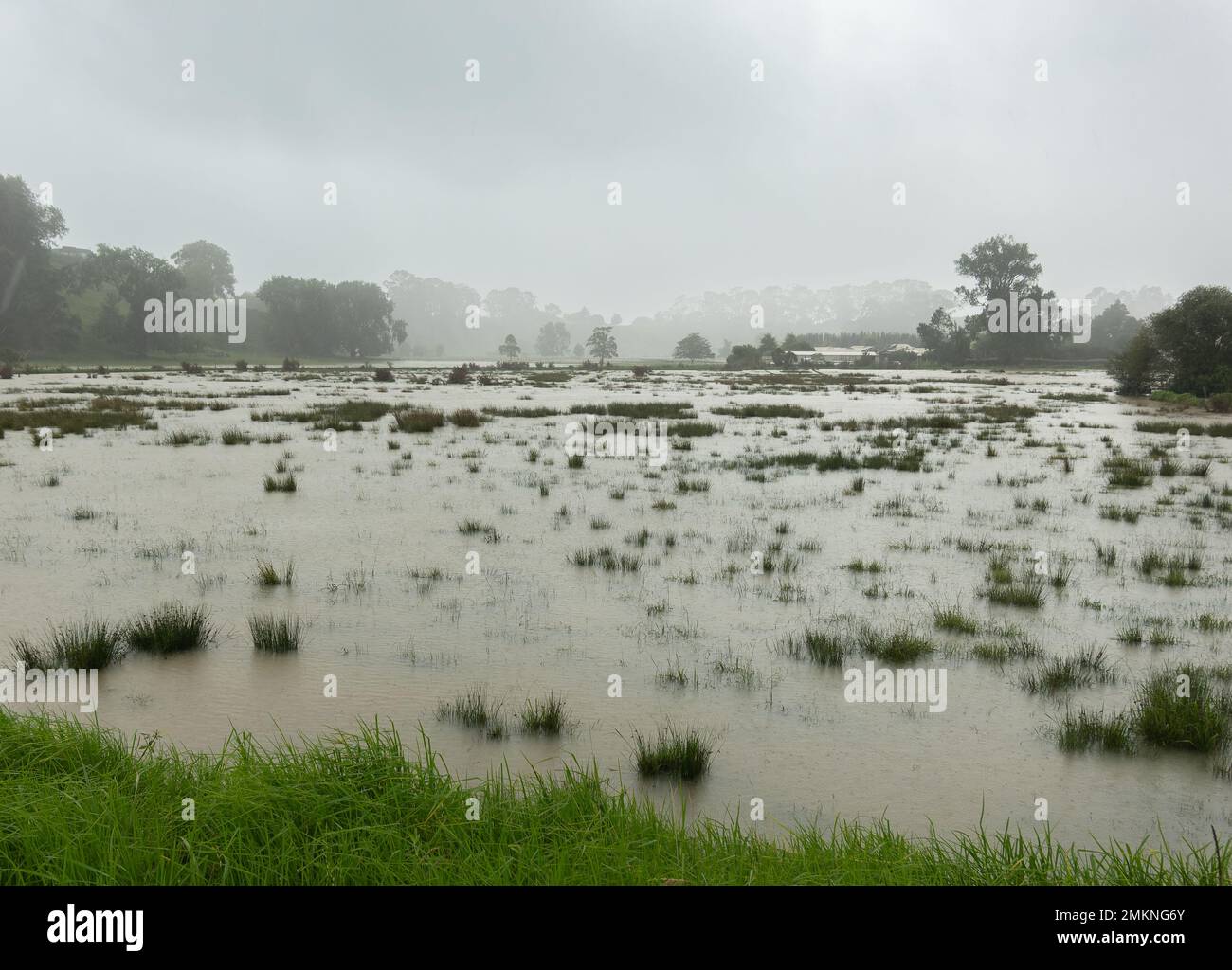 Tauranga flood hi-res stock photography and images - Alamy