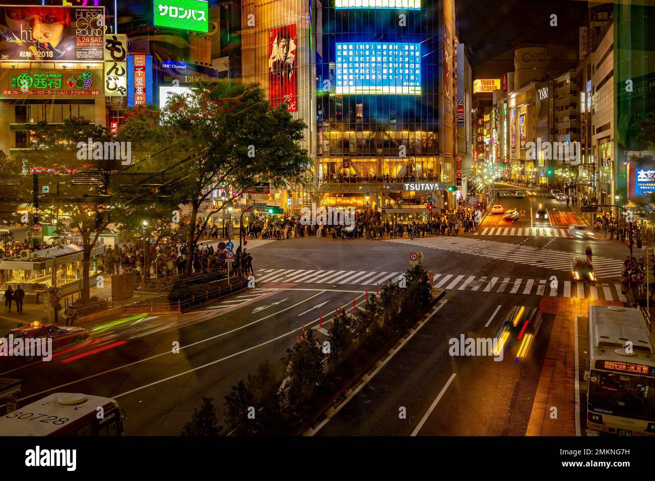 Tokyo, Japan - The famous Shibuya crossing at night Stock Photo - Alamy