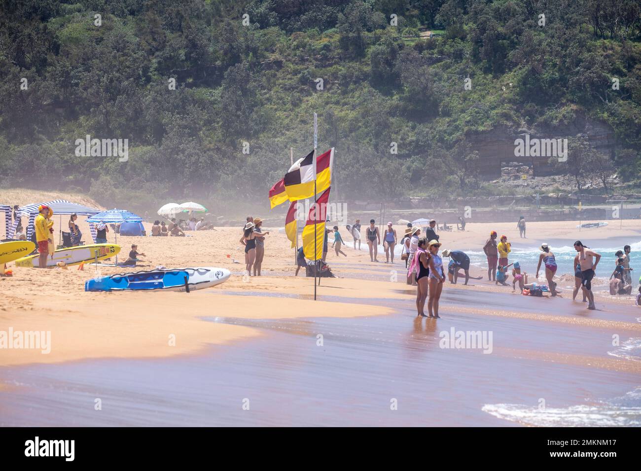 Surf rescue lifeguards and swim between the flags Narrabeen beach ...