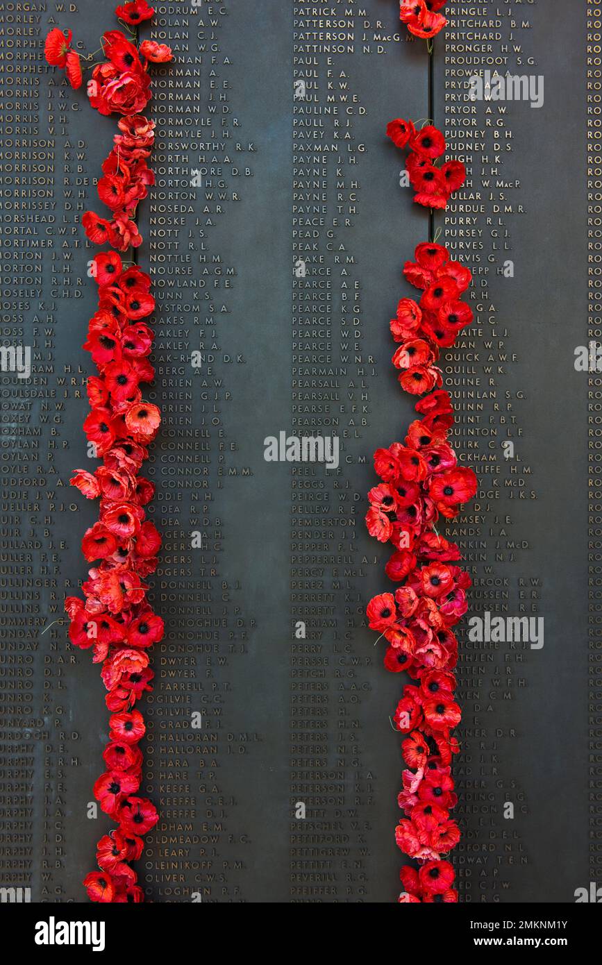 Poppies on the Wall of Remembrance Stock Photo - Alamy