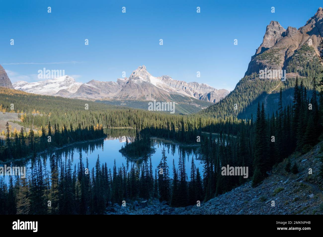 View of Lake O'Hara Valley from the Opabin Prospect overlook, Yoho ...