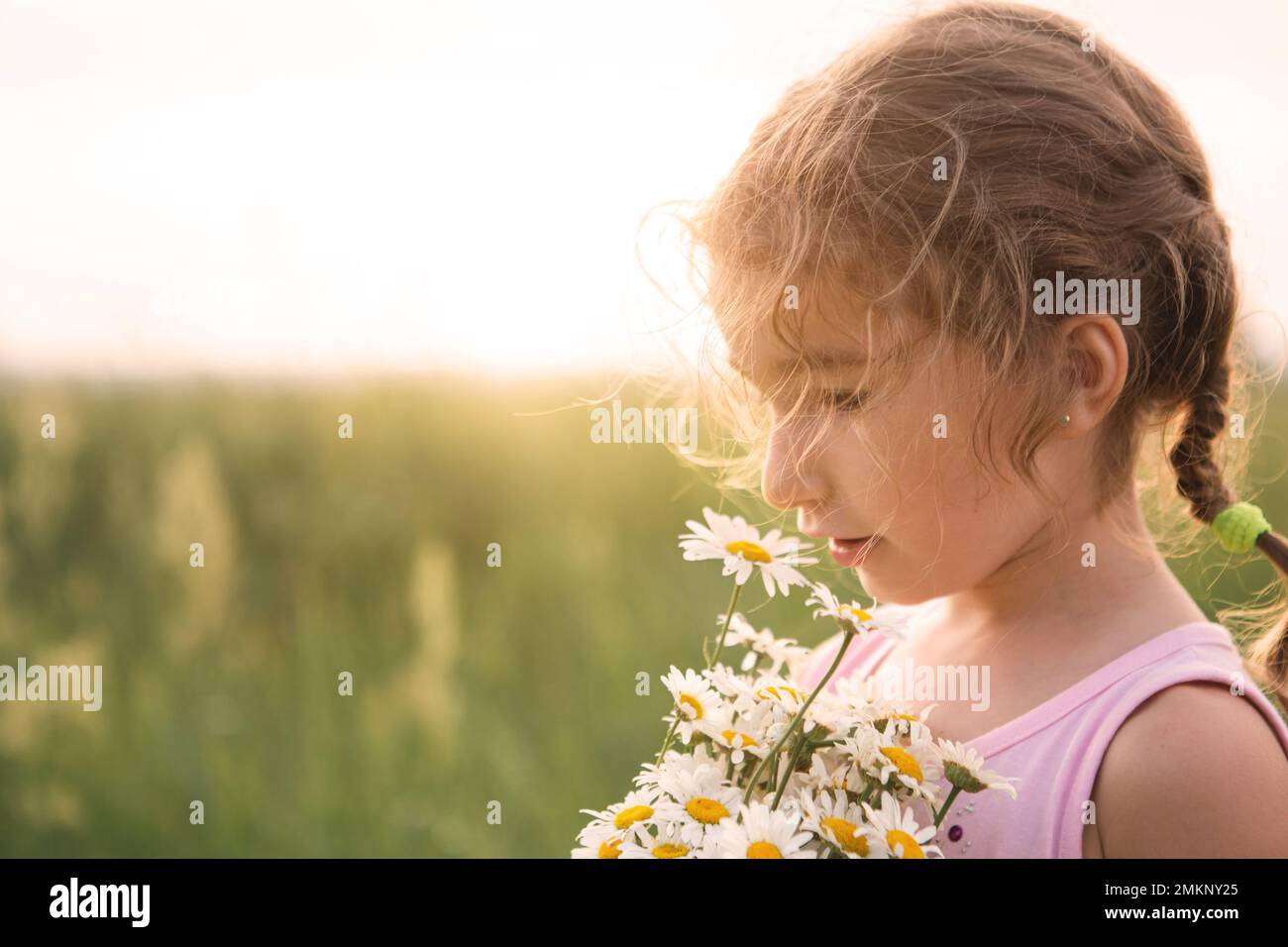 Portrait cute child girl with a bouquet of chamomile in summer on a ...