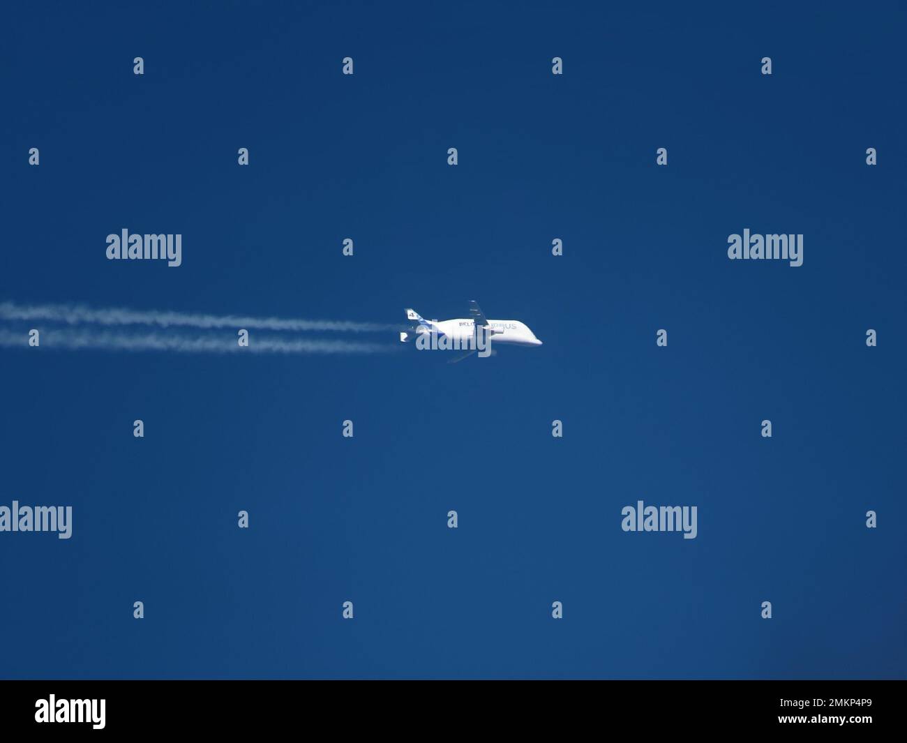 Airbus Beluga cargo plane flying at high altitude with contrails Stock ...