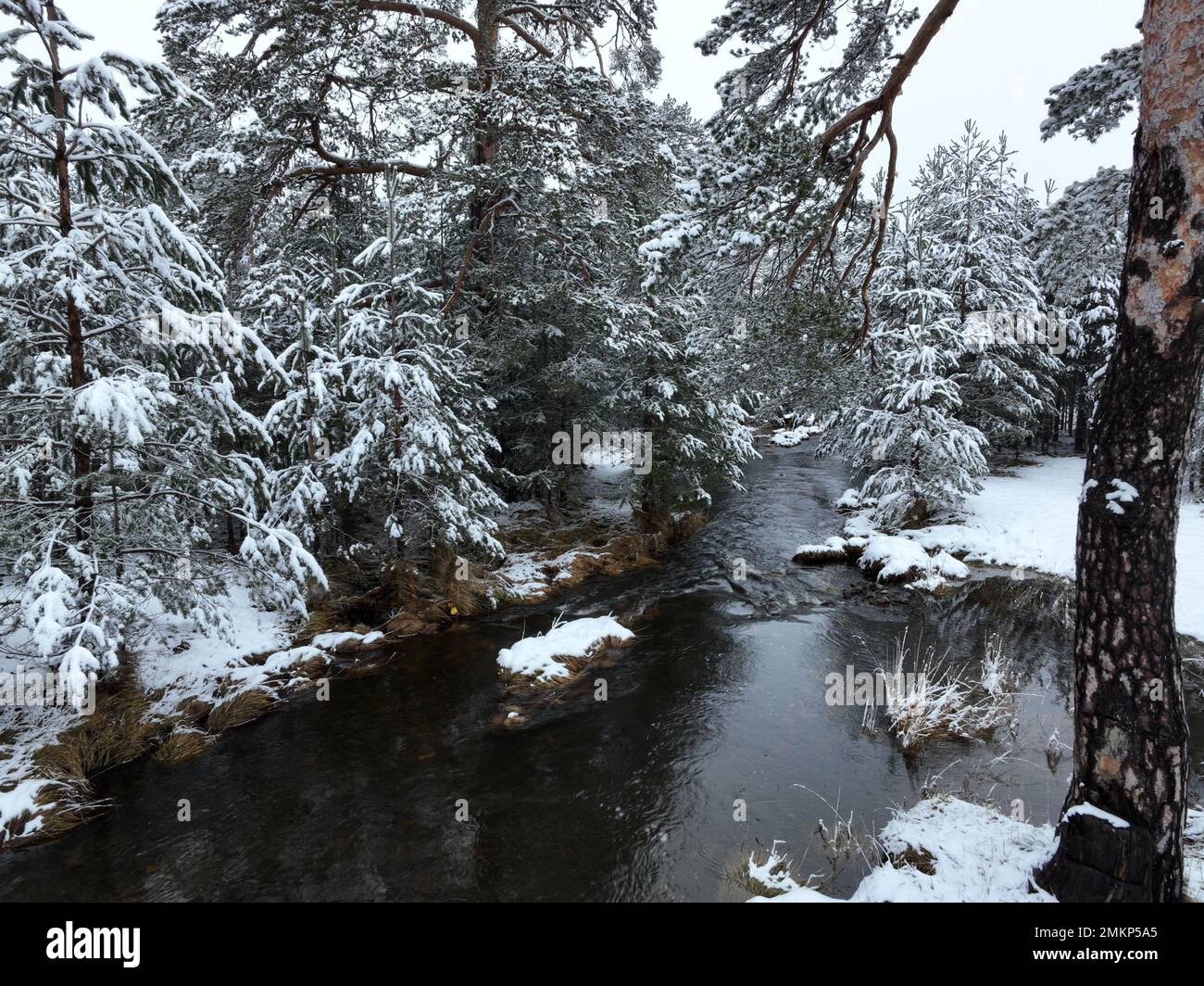An aerial view of a frozen river flowing through snow-covered forests ...