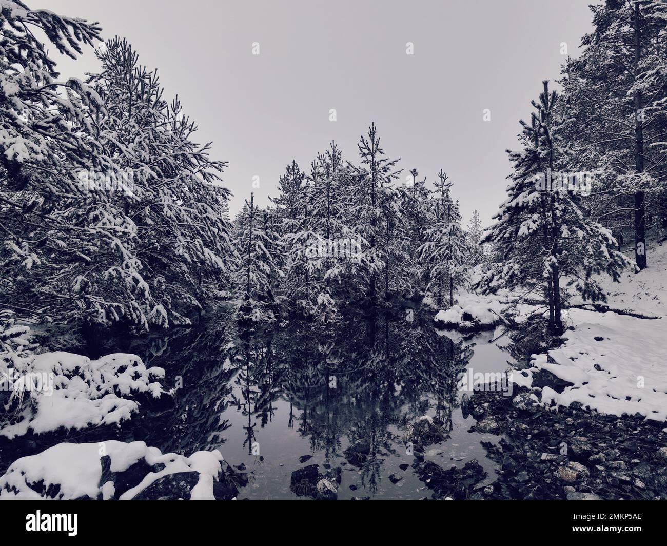 An aerial view of a frozen river flowing through snow-covered forests ...