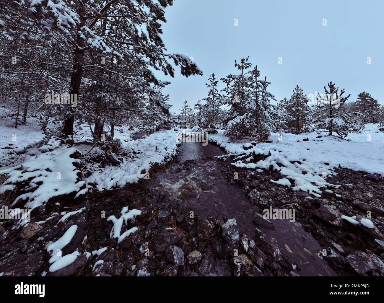 An aerial view of a frozen river flowing through snow-covered forests ...