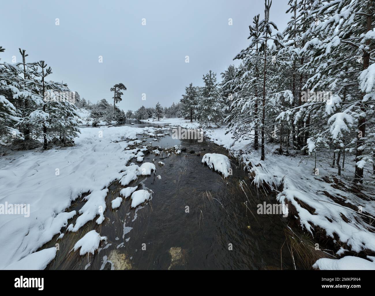 An aerial view of a frozen river flowing through snow-covered forests ...