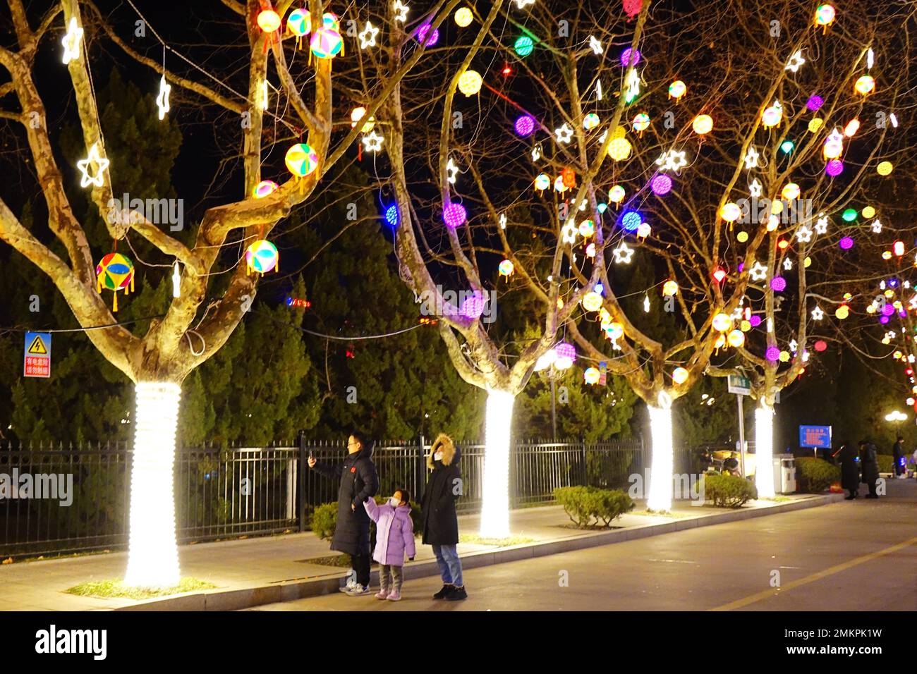 The colored lights on the wutong trees on both sides of the main road ...