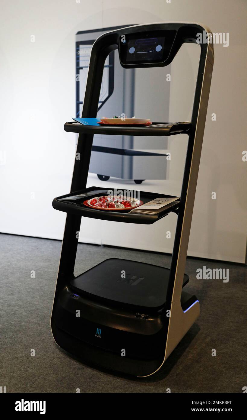 The Pudubot is on display at the Pudu booth at CES International ...