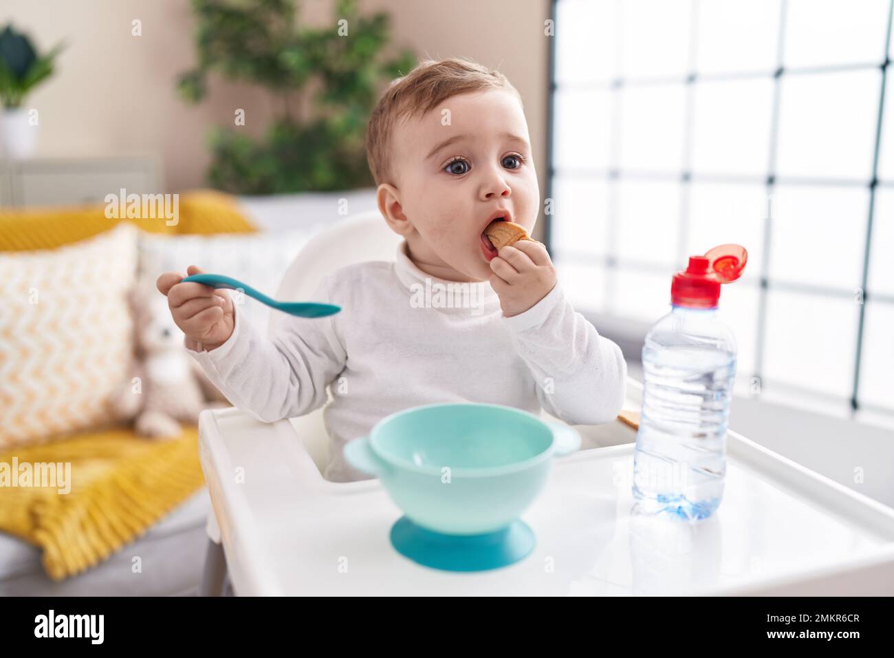 Adorable caucasian baby sitting on highchair eating biscuit at home ...