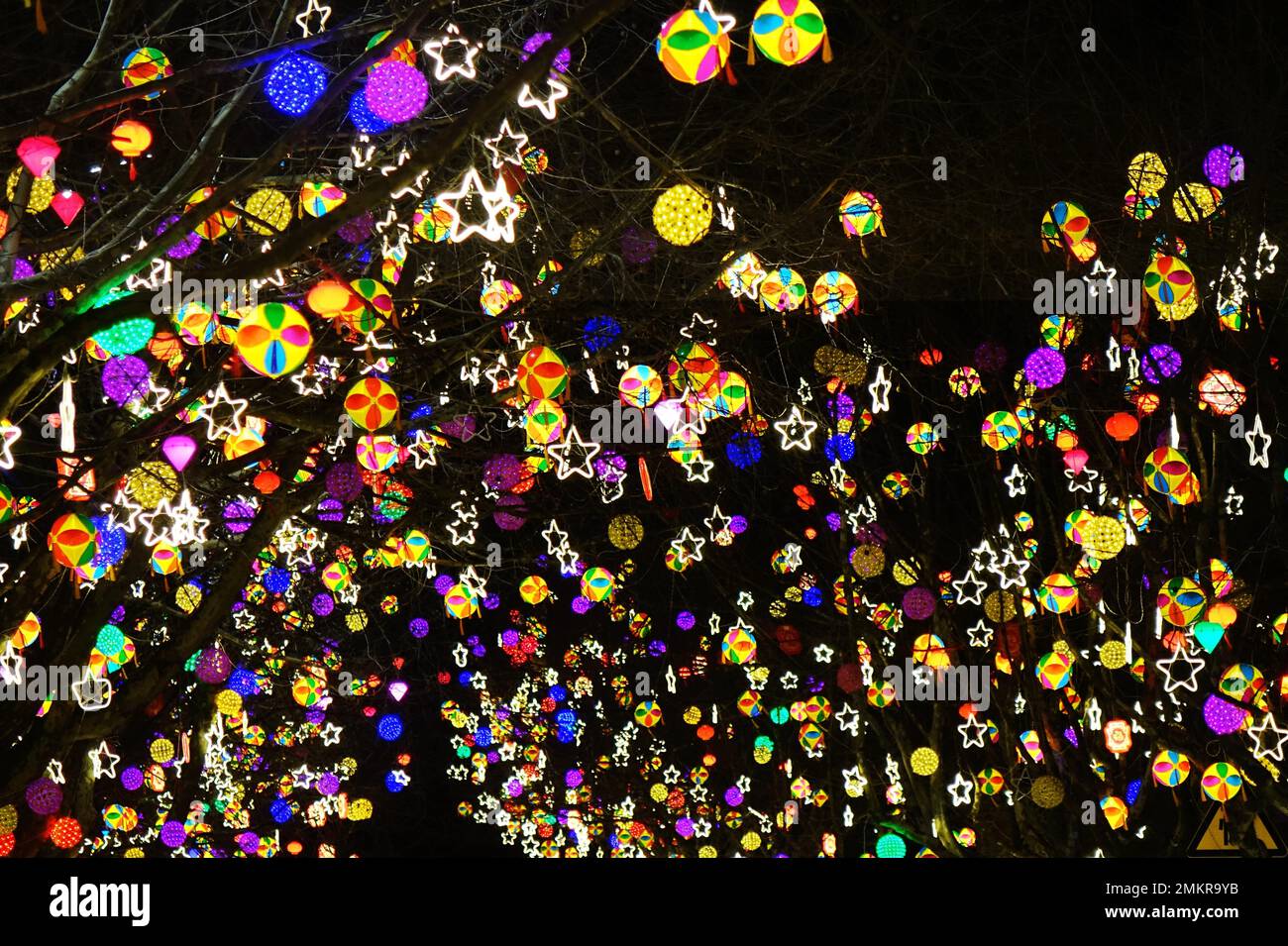 The colored lights on the wutong trees on both sides of the main road ...