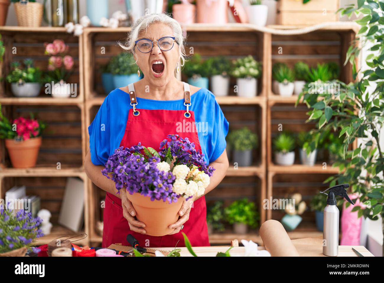 Middle age woman with grey hair working at florist shop holding plant ...