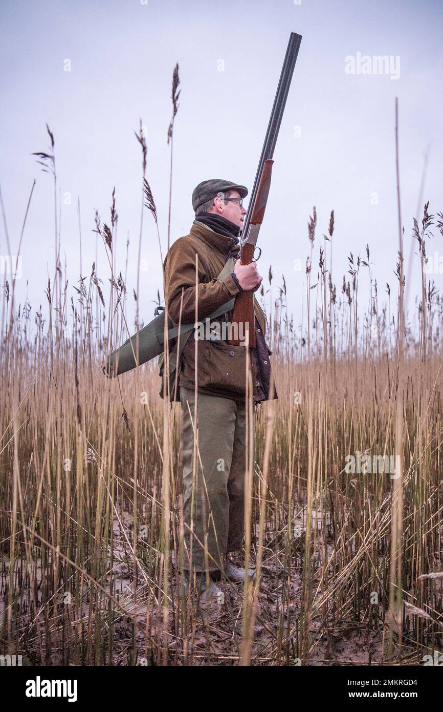 male wildfowler standing in reed beds hunting ducks Stock Photo - Alamy