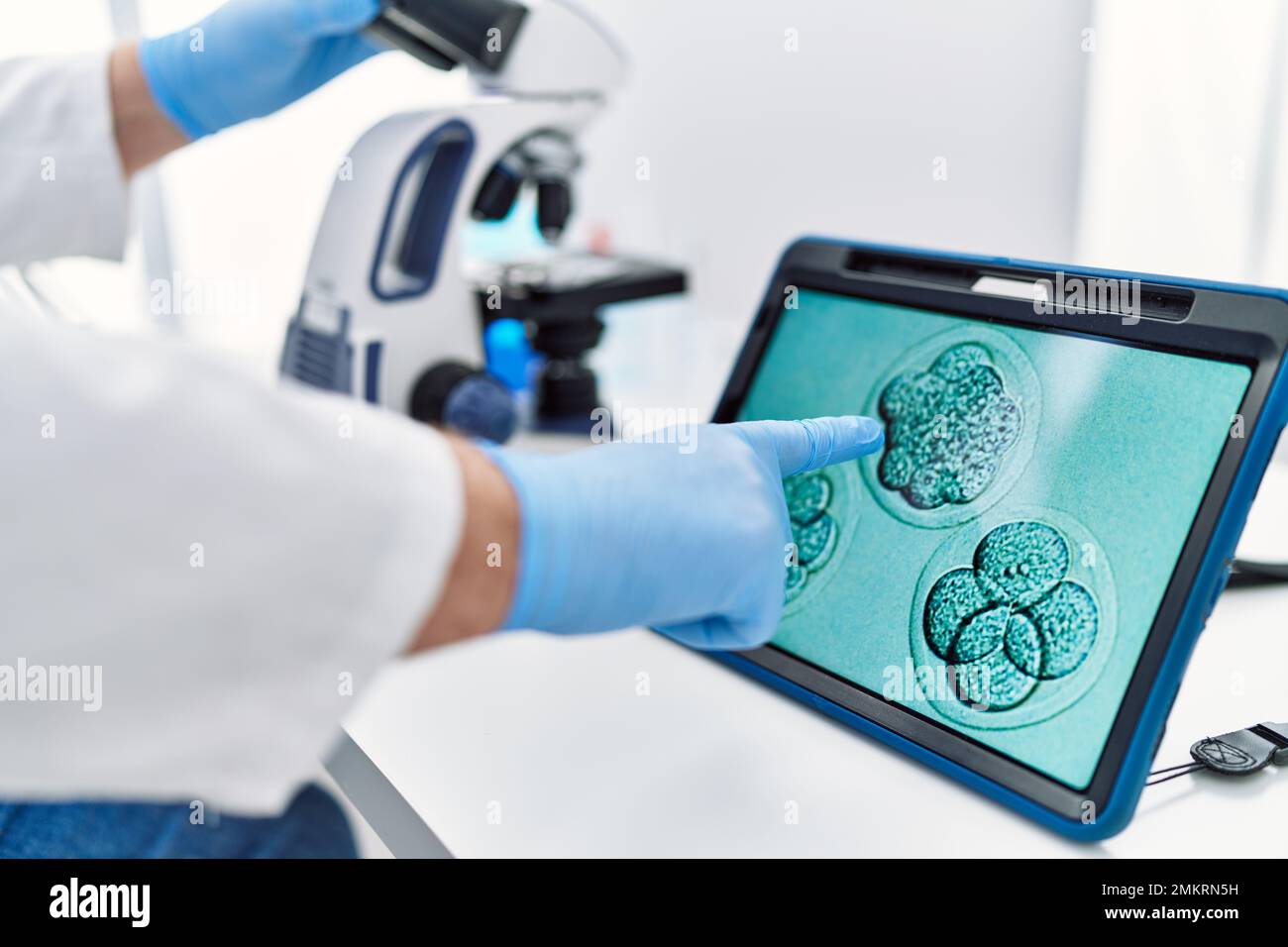 Middle age grey-haired man wearing scientist uniform looking embryology image touchpad at ...